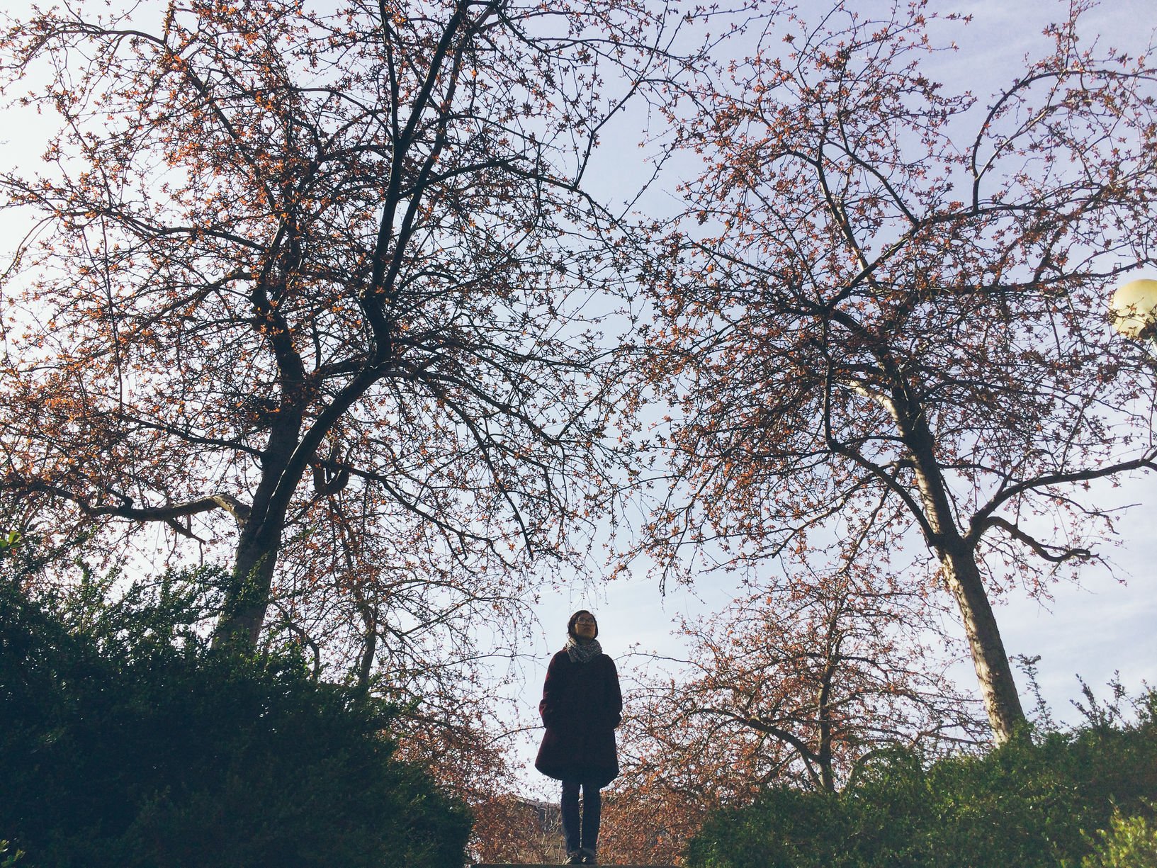Woman Standing Under A Tree - Sonima
