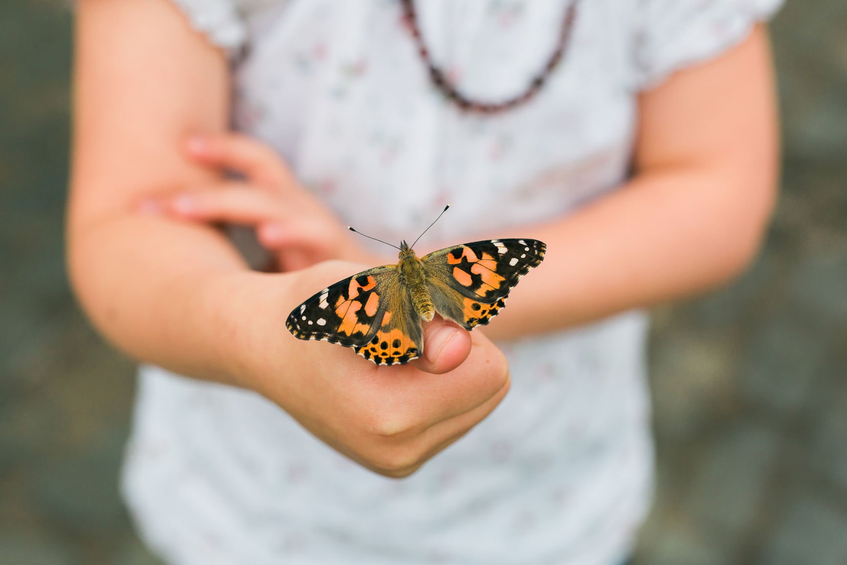 Young Girl Releasing Butterfly - Sonima